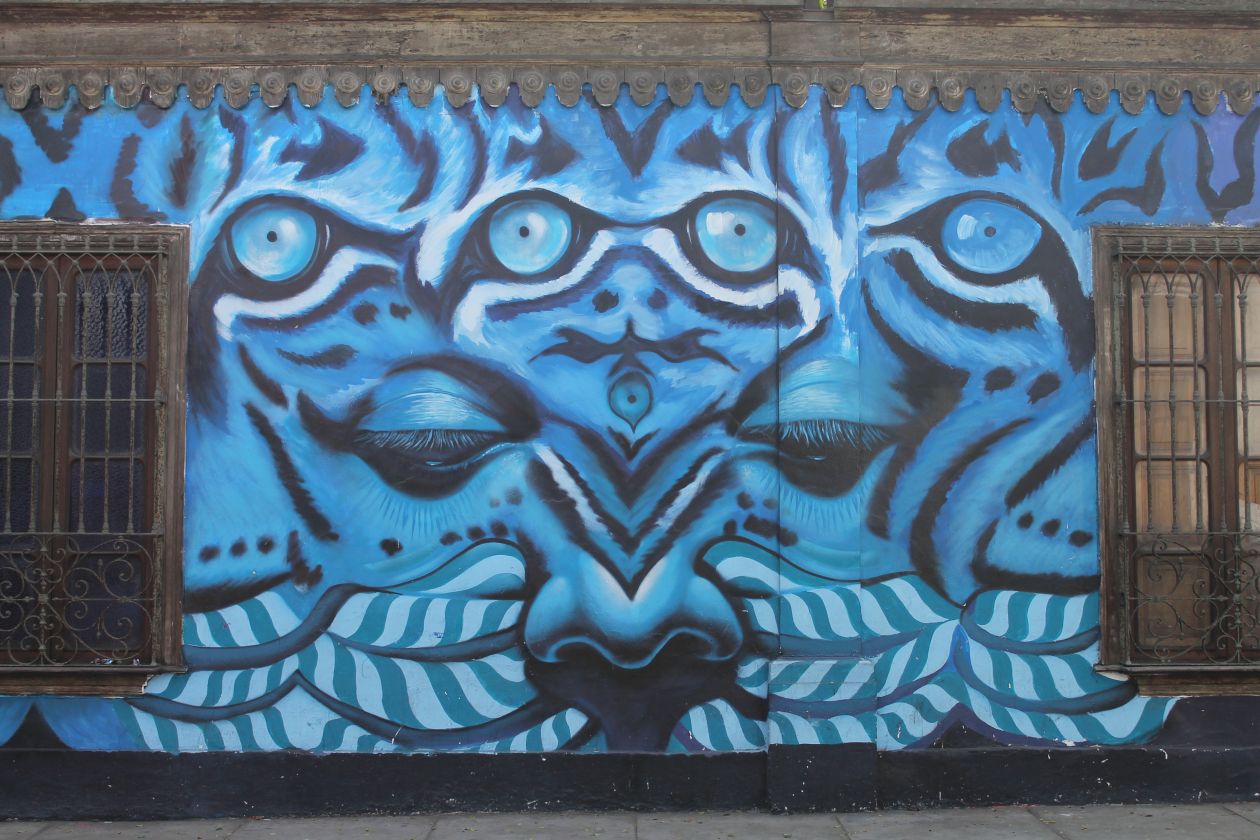 Free photo "Spot the face"