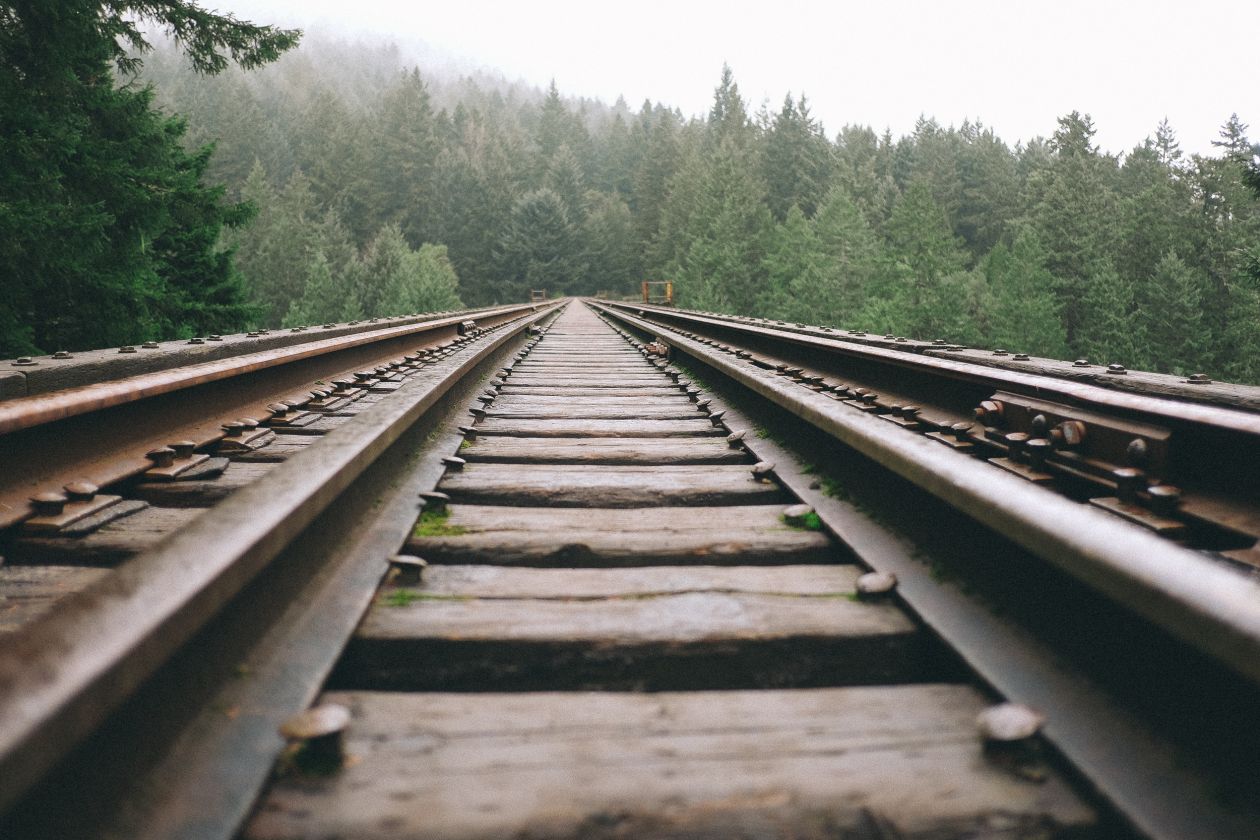 Free photo "Rails across the Forest"