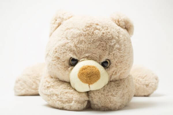 Free photo "Cute Teddy Bear"