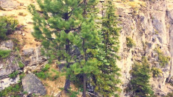 Free video "Waterfall cascade flow" by Life-Of-Vids