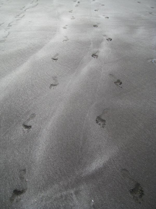 Free photo "Footsteps In Wet Sand"