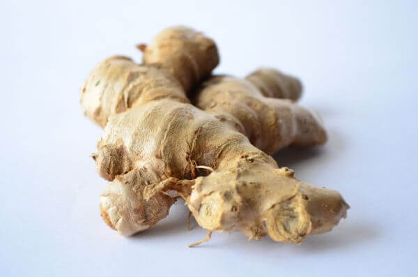 Free photo "Ginger"