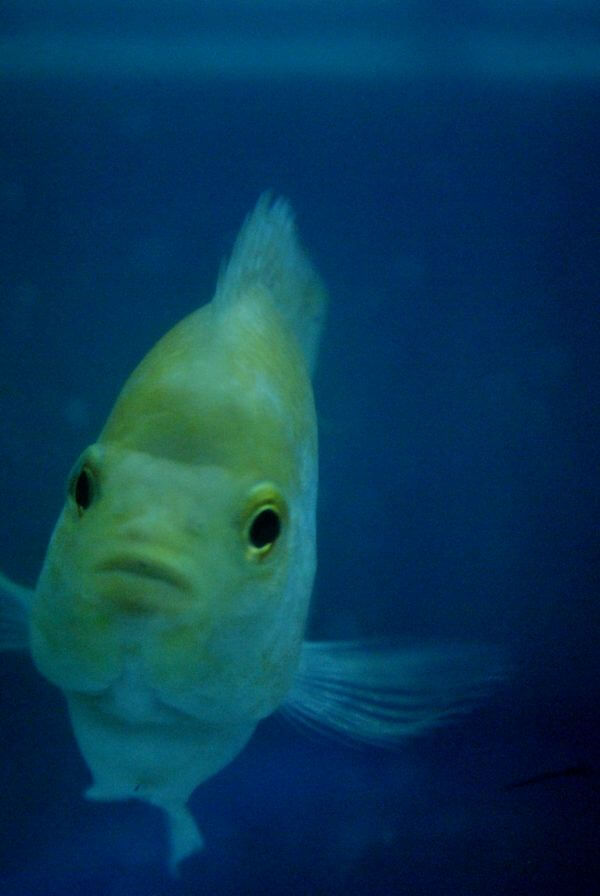 Front Free Stock Photos - Stockio.com