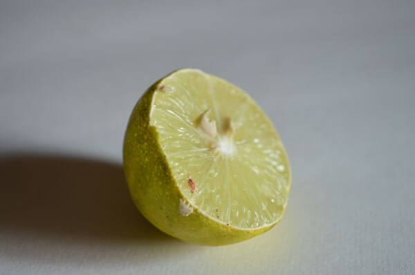 Free photo "Lemongrass Leaves Cut"