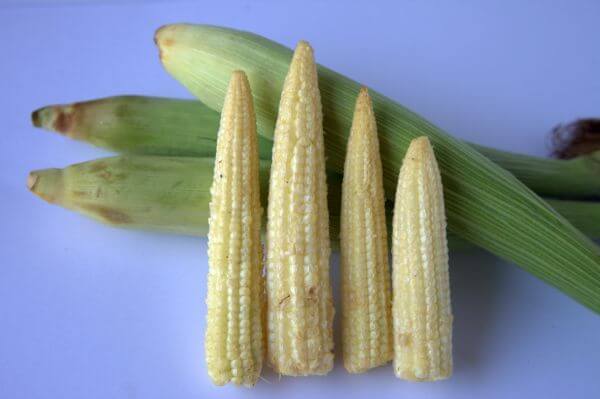 Free photo "Baby Corn Vegetables"