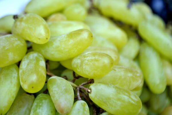 Free photo "Washed Grapes Black"