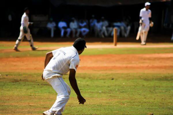Free photo "Cricket Pitch Stumps"