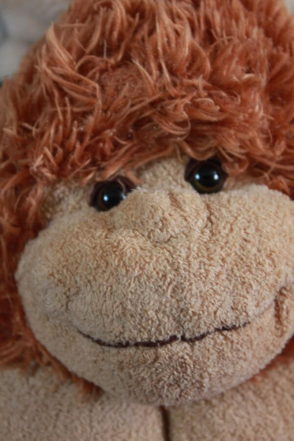 Free photo "Spacemonkey"