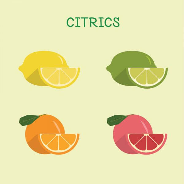 Free vector "Fruit icons"